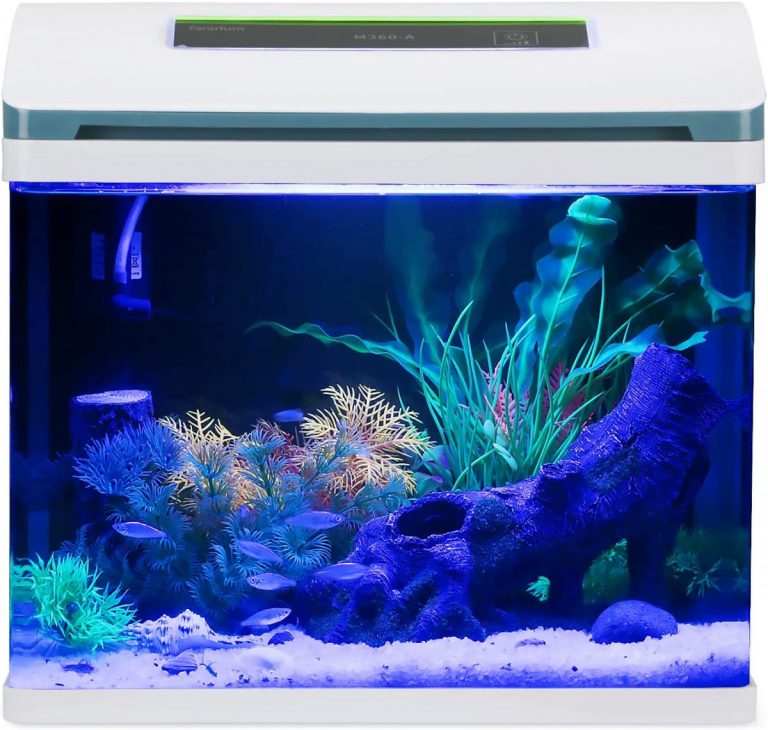 Column Aquarium Fish Tanks Space saving ideas